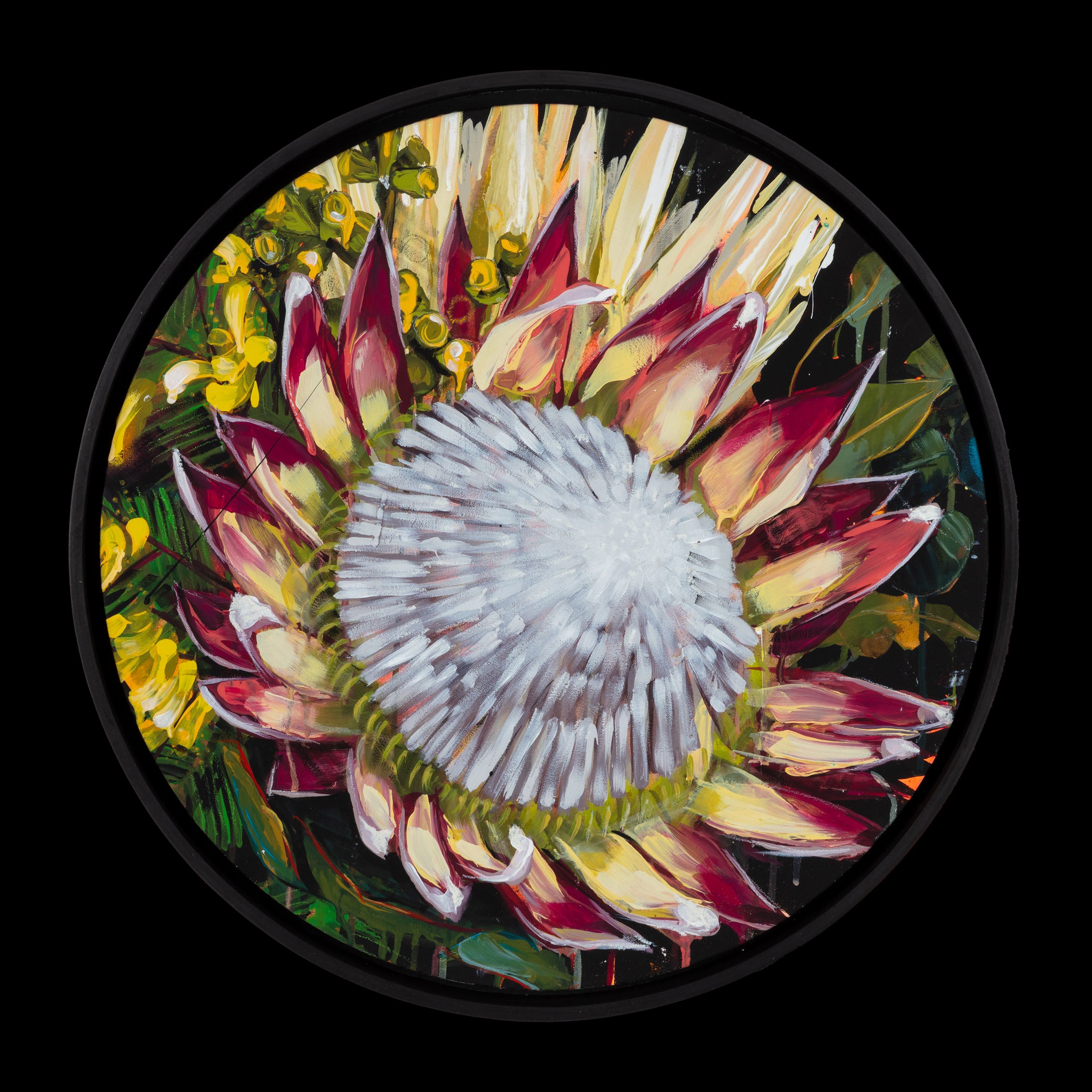 Poco Negro XI – Scott Marsh