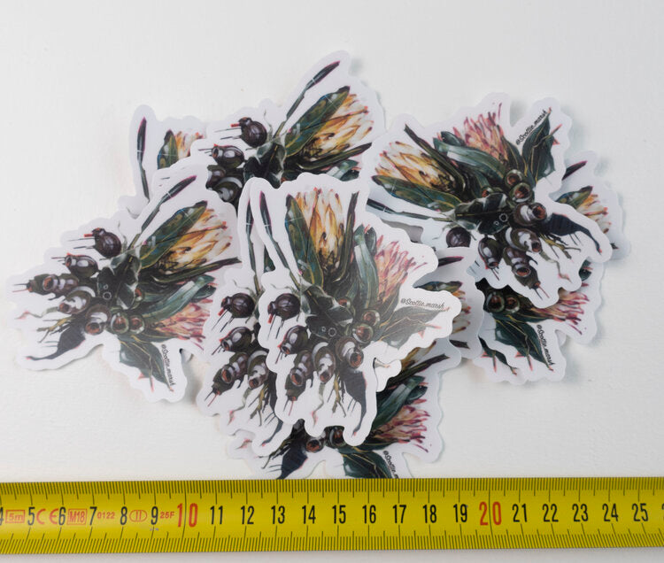 Graffiti Bouquet II - Die Cut Vinyl stickers – Scott Marsh